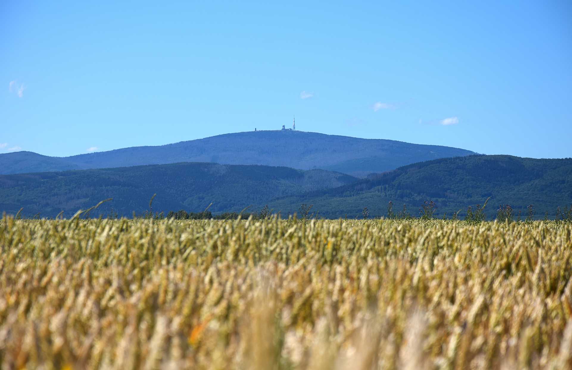 Tourismus Huy, Fallstein & Osterwieck | Tourismusverein Huy-Fallstein e.V.